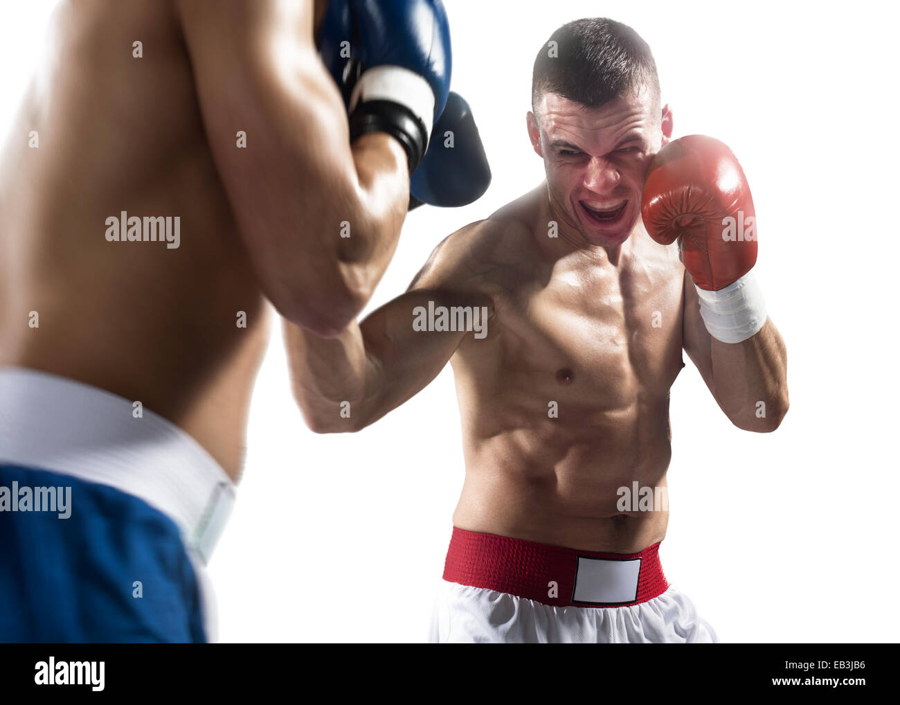 Two professionl boxers are fighting on the white Stock Photo - Alamy