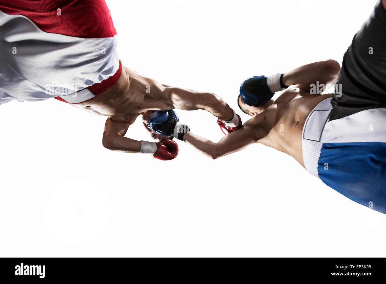 Two professionl boxers are fighting on the white Stock Photo - Alamy