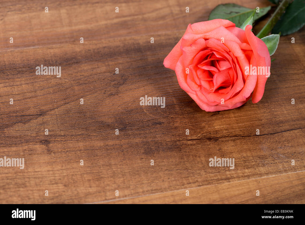 the red roses on wooden background Stock Photo - Alamy