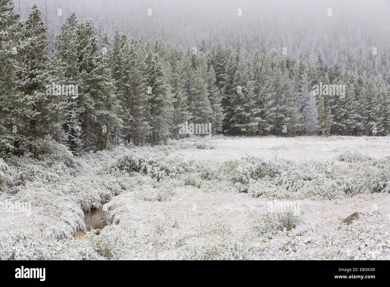 Us national park in winter hi-res stock photography and images - Alamy