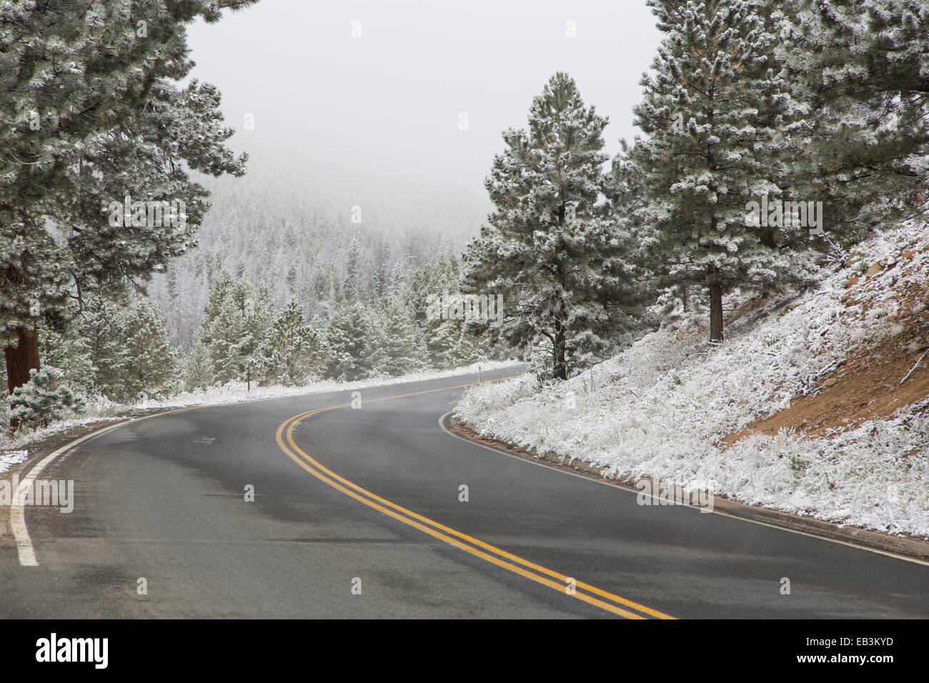 Snow On Trail Ridge