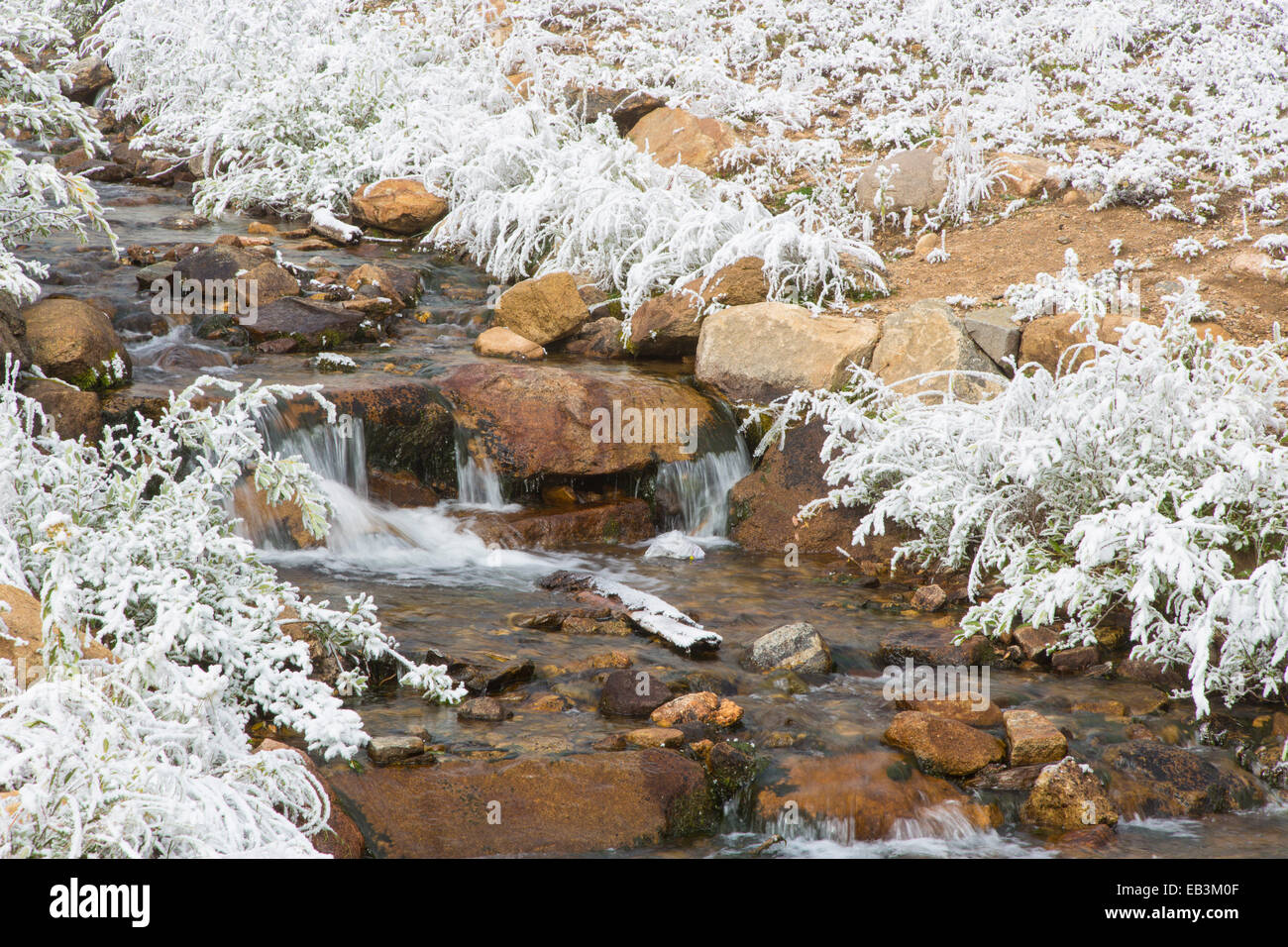Early September snow at Hidden Vally area along Trail Ridge Road in ...