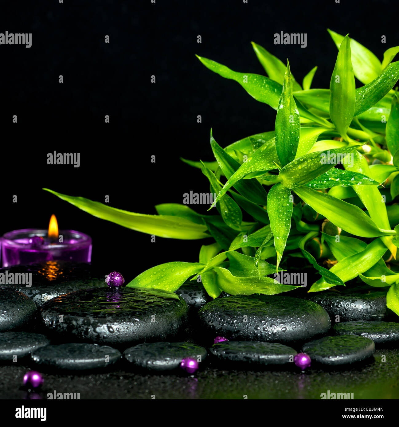 spa concept of zen basalt stones with drops, lilac candles, beads and ...