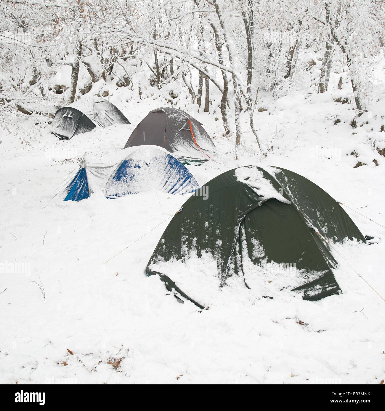 Winter tent camp in the snow forest Stock Photo - Alamy