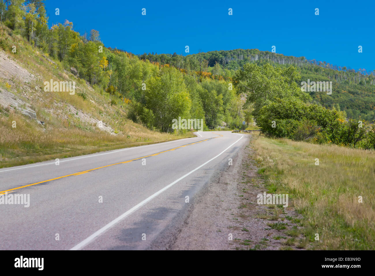 Empty curving road Route 133 in the Rocky Mountains of Colorado Stock ...