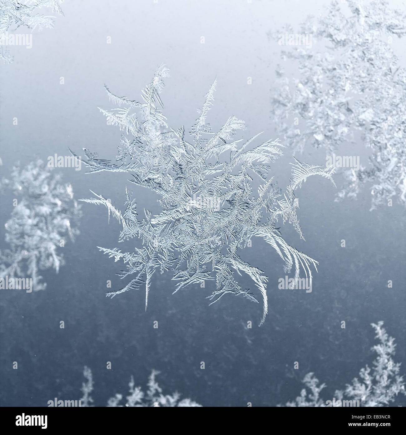 Snowflake decoration in window hi-res stock photography and images - Alamy