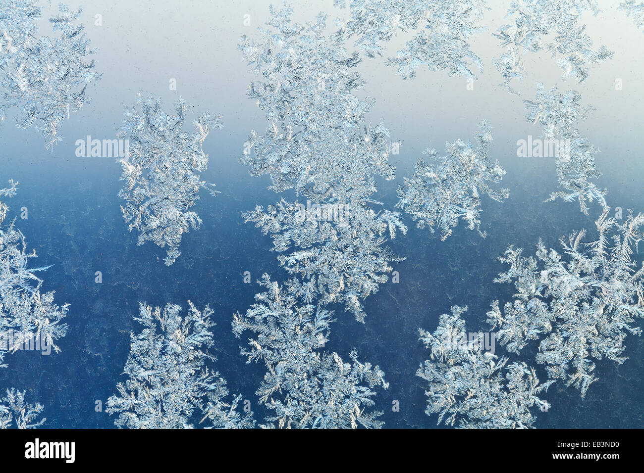 frost on window glass close up in cold winter night Stock Photo - Alamy
