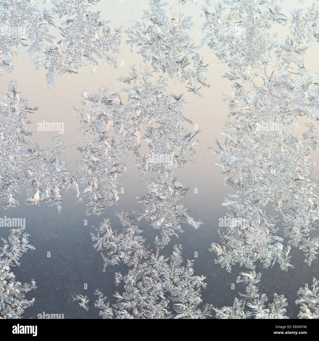 frost patterns on window glass close up at cold winter sunrise Stock ...
