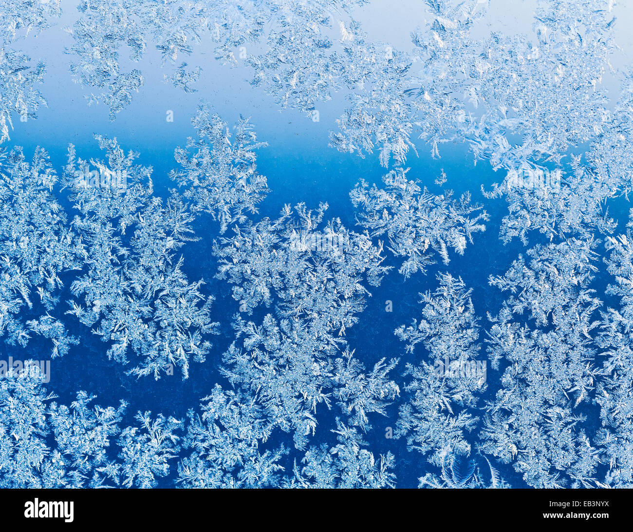 Pictures Of Snowflakes From Frozen