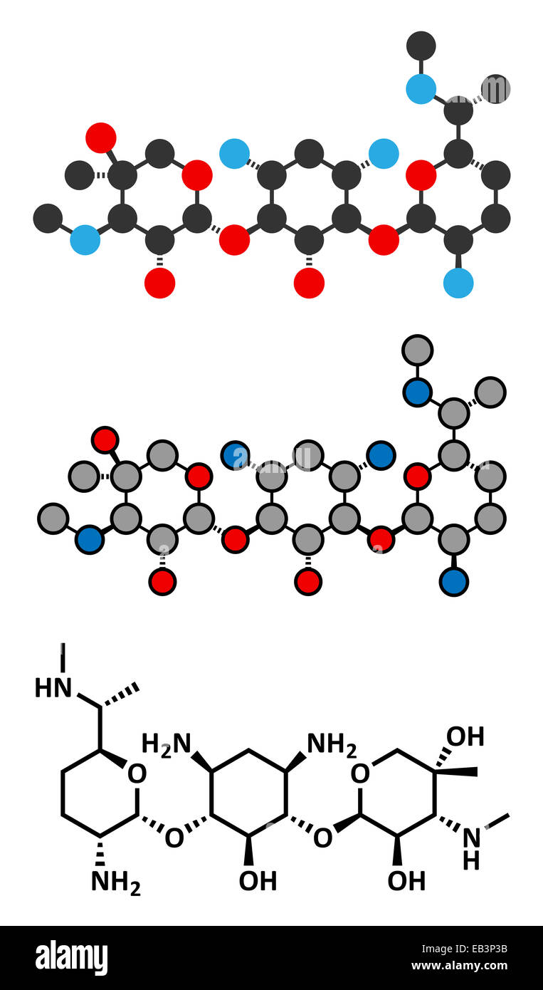 Gentamicin antibiotic drug (aminoglycoside class) molecule ...