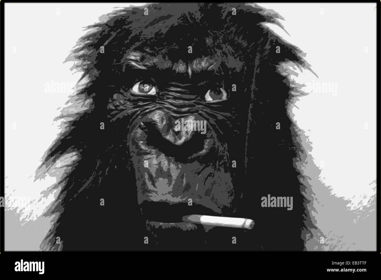 Smoking monkey hi-res stock photography and images - Alamy