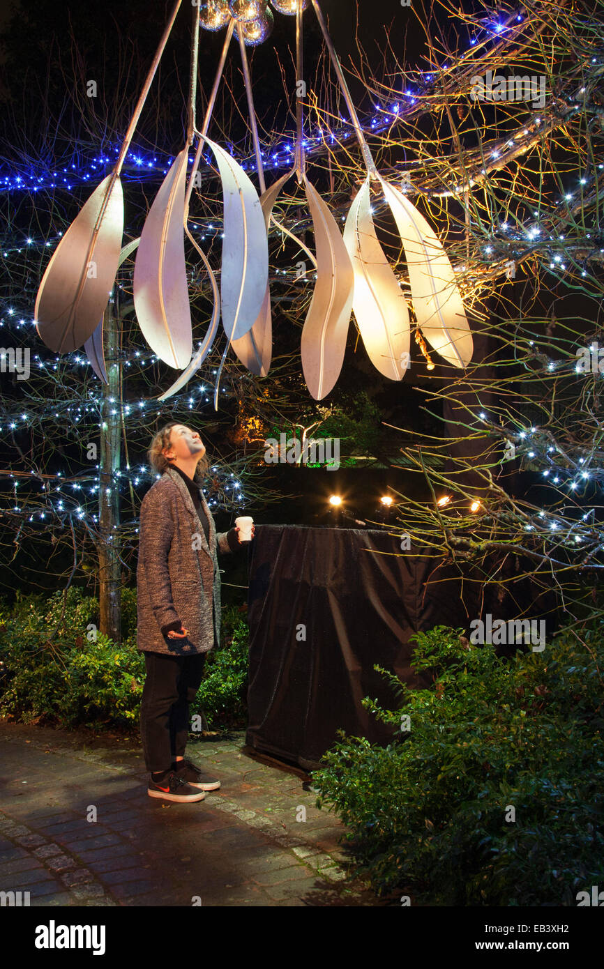 Large illuminated mistletoe hi-res stock photography and images - Alamy