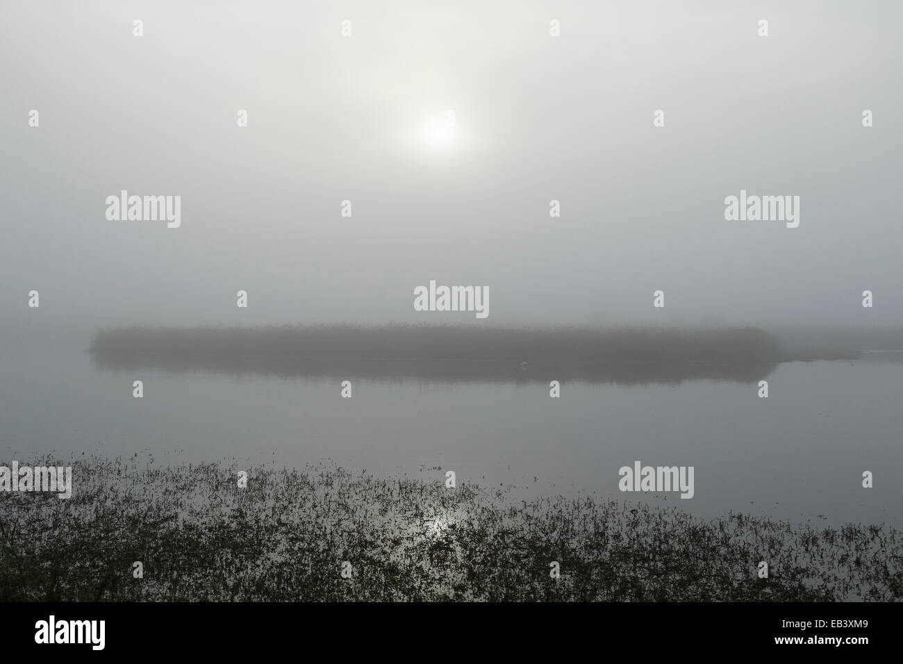 Lake, fog and sun. Agamon lake. Hula Valley. Israel Stock Photo - Alamy
