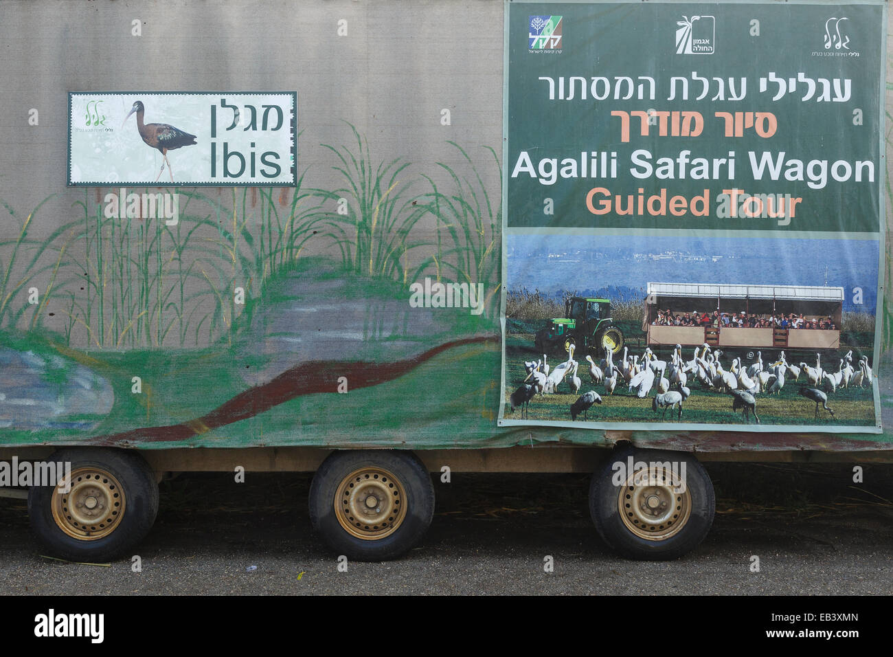 Mobile hide tour. Agamon lake. Hula Valley. Israel Stock Photo - Alamy