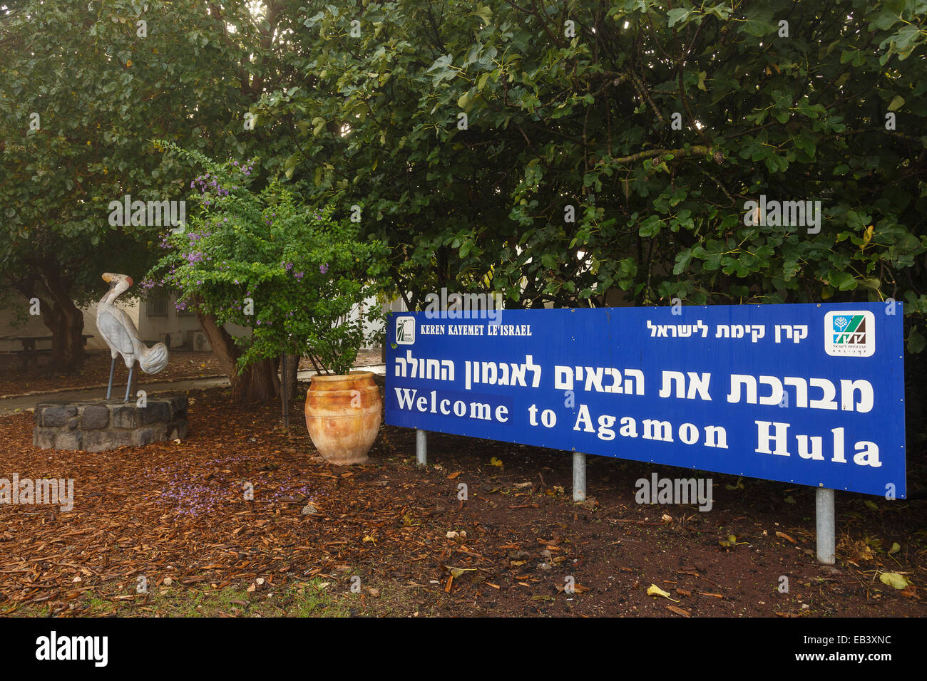 Agamon lake. Hula Valley. Israel Stock Photo - Alamy