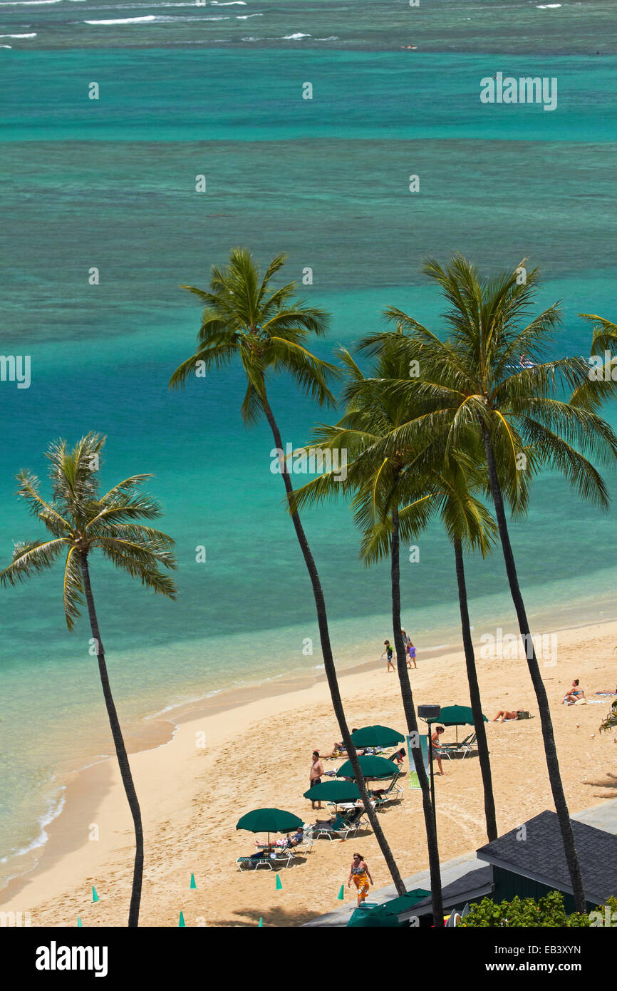 Fort DeRussy Beach and palm trees, Waikiki, Honolulu, Oahu, Hawaii, USA ...