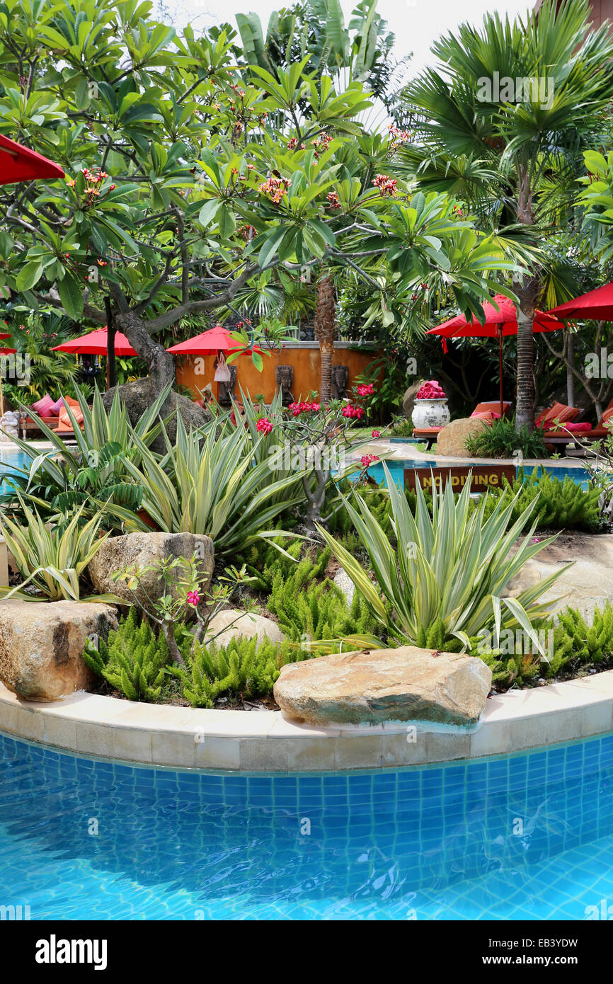 swimming pool in a wonderful garden Stock Photo - Alamy