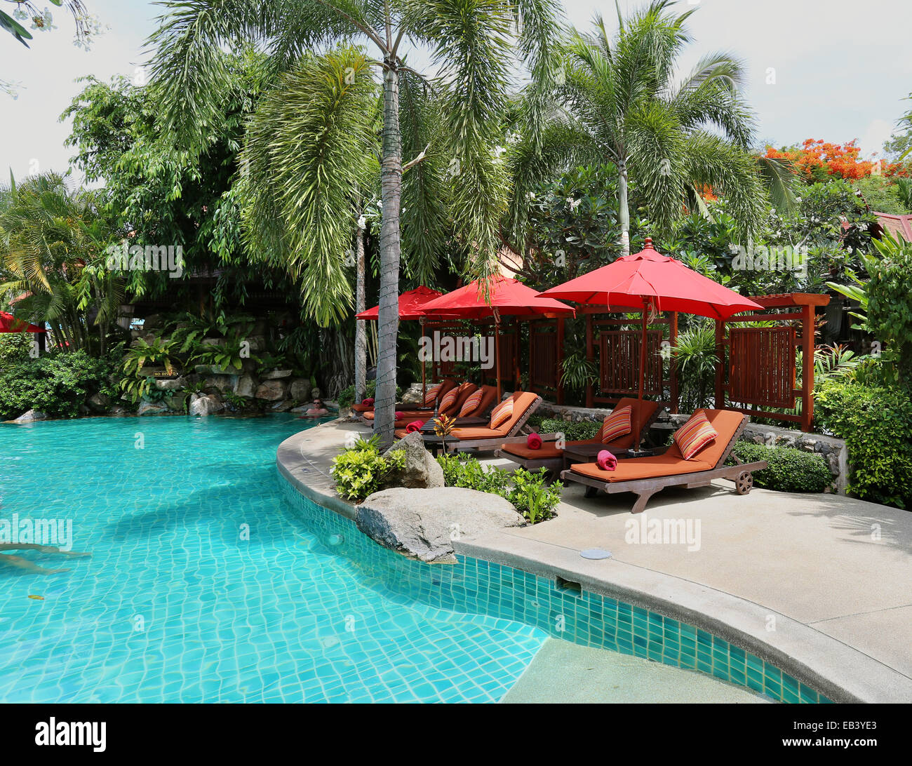 swimming pool with sun loungers Stock Photo - Alamy