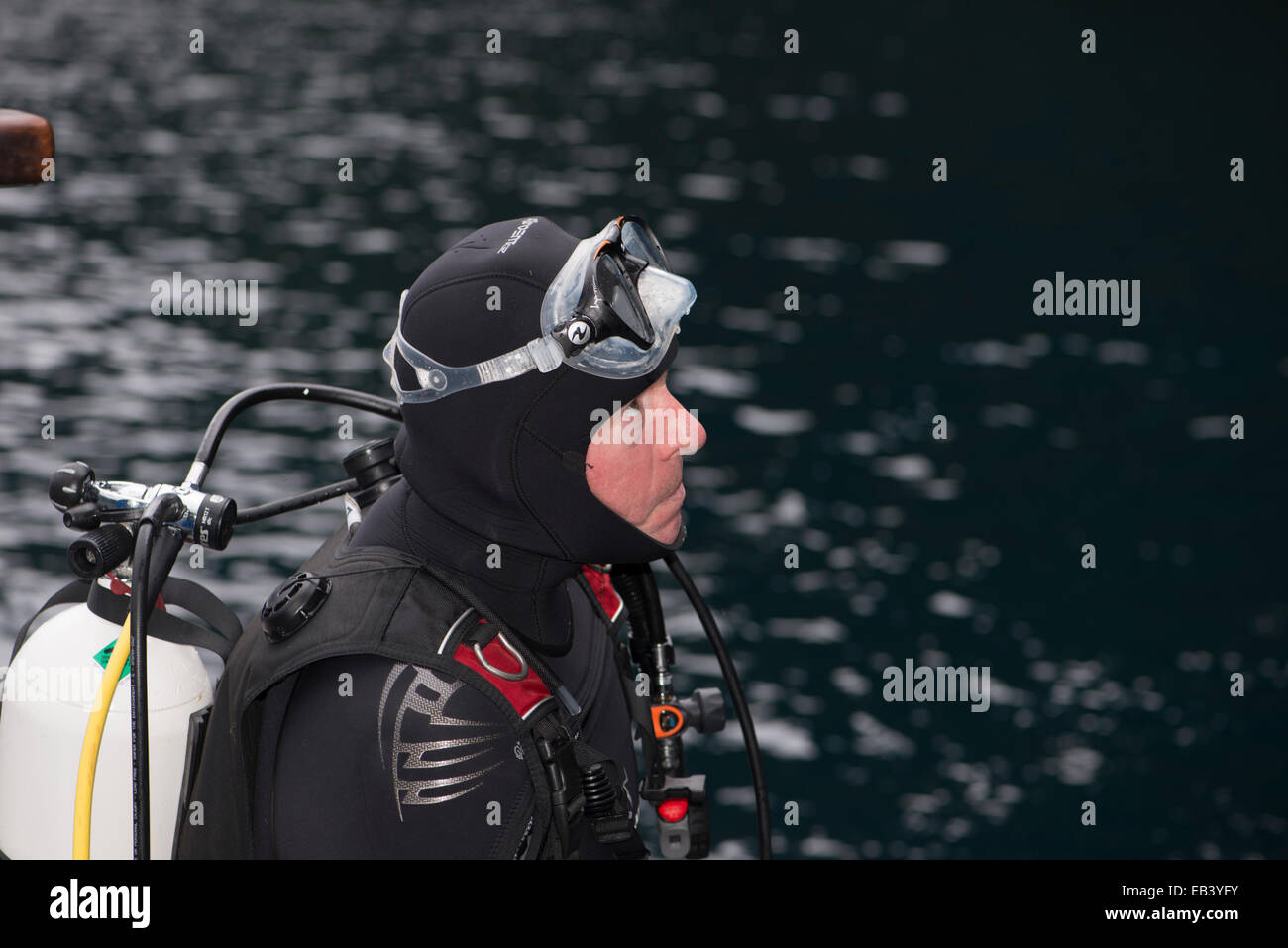Scuba diver preparing to enter cold water Stock Photo - Alamy