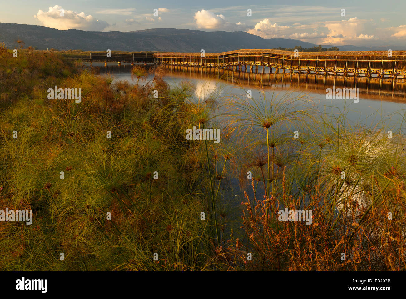 Hideaway and lake. Hula Nature Reserve. Hula Valley. Israel Stock Photo ...