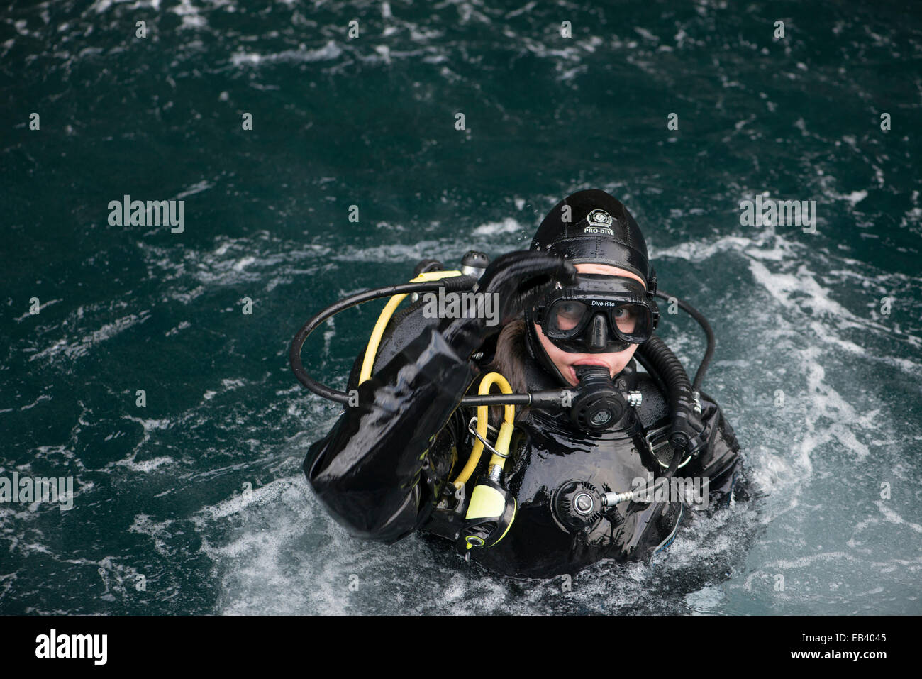 Technical diver in NZ fiordland Stock Photo - Alamy