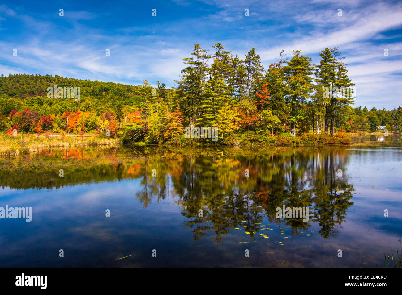 Pond with fall color hi-res stock photography and images - Alamy