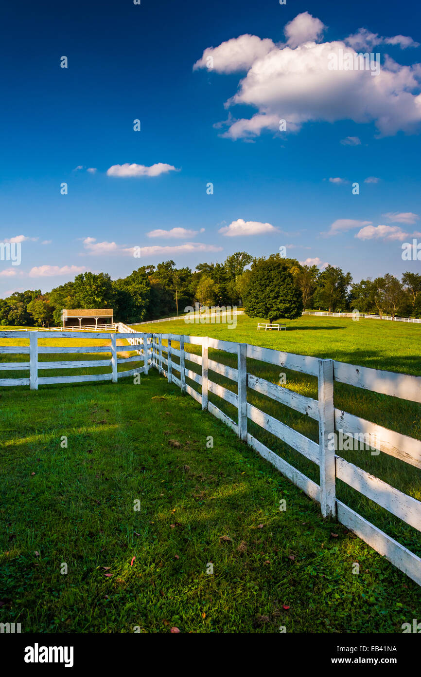 Rural country field hi-res stock photography and images - Alamy