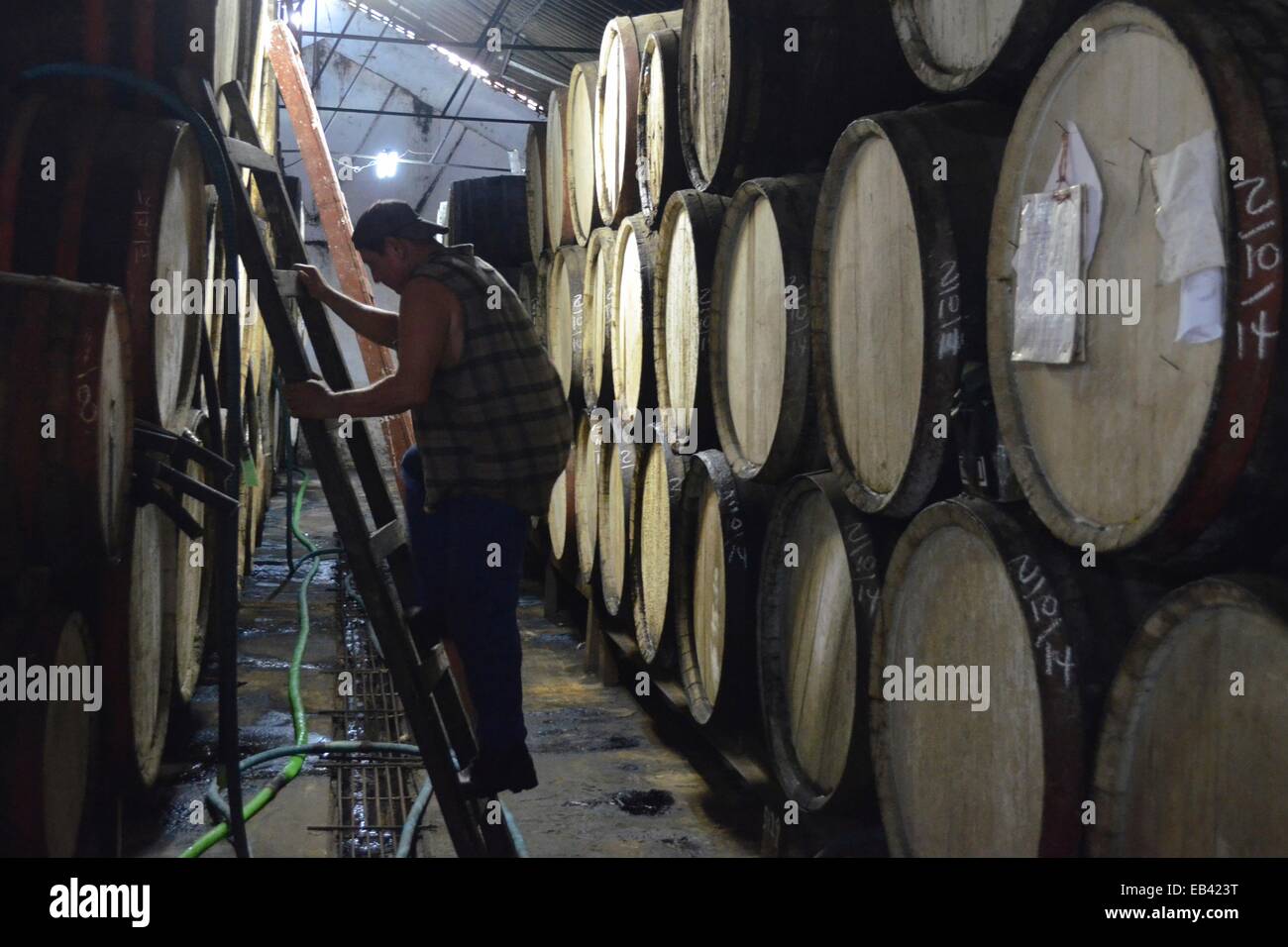 Rum Barrel Storage at Rudolph Miller blog