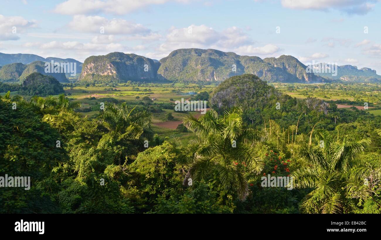 Karst landscape region hi-res stock photography and images - Alamy
