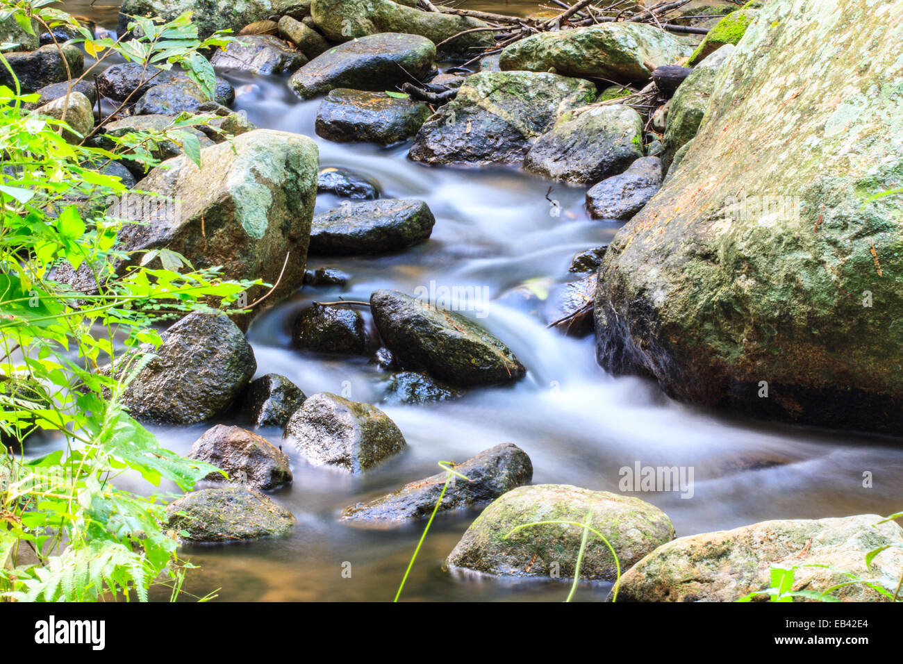 rainforest waterfall and rocks covered with moss Stock Photo - Alamy