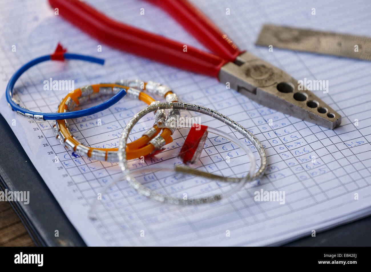 Tools. Ornithologist. Birdwatching. Bird ringing station. Agamon lake ...