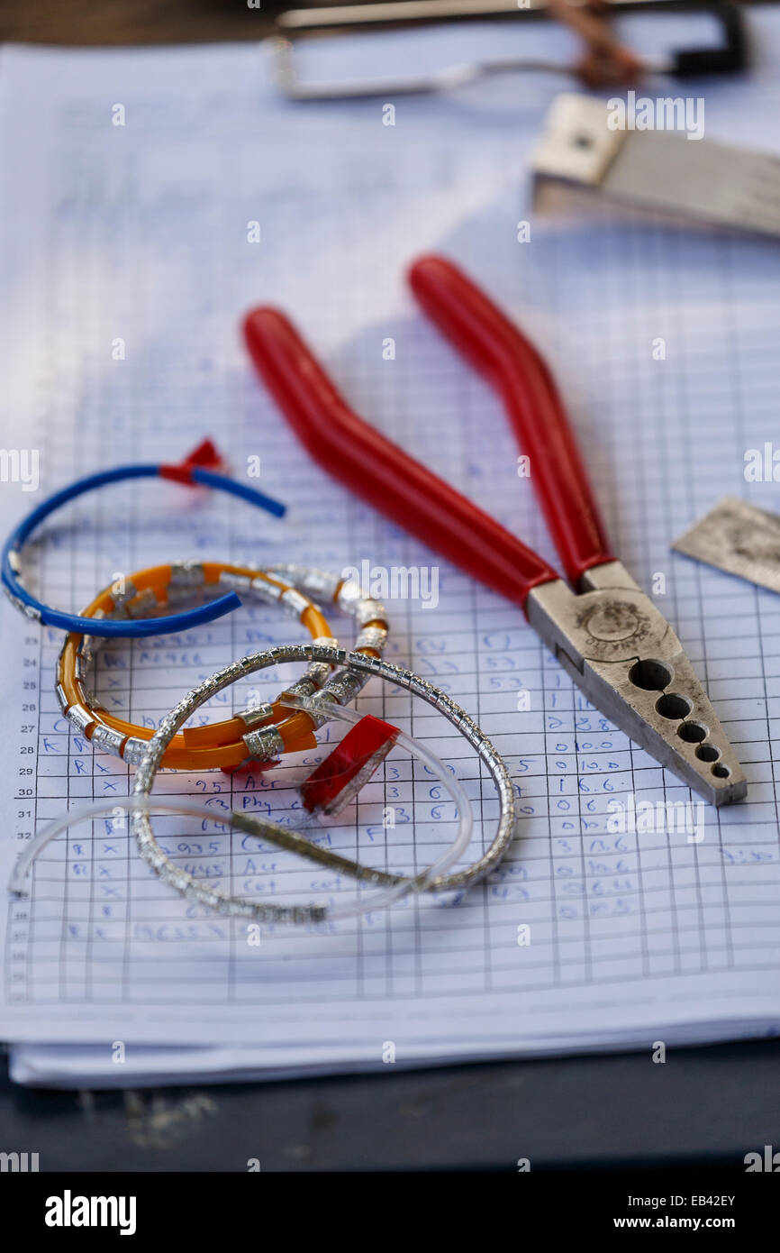 Tools. Ornithologist. Birdwatching. Bird ringing station. Agamon lake ...