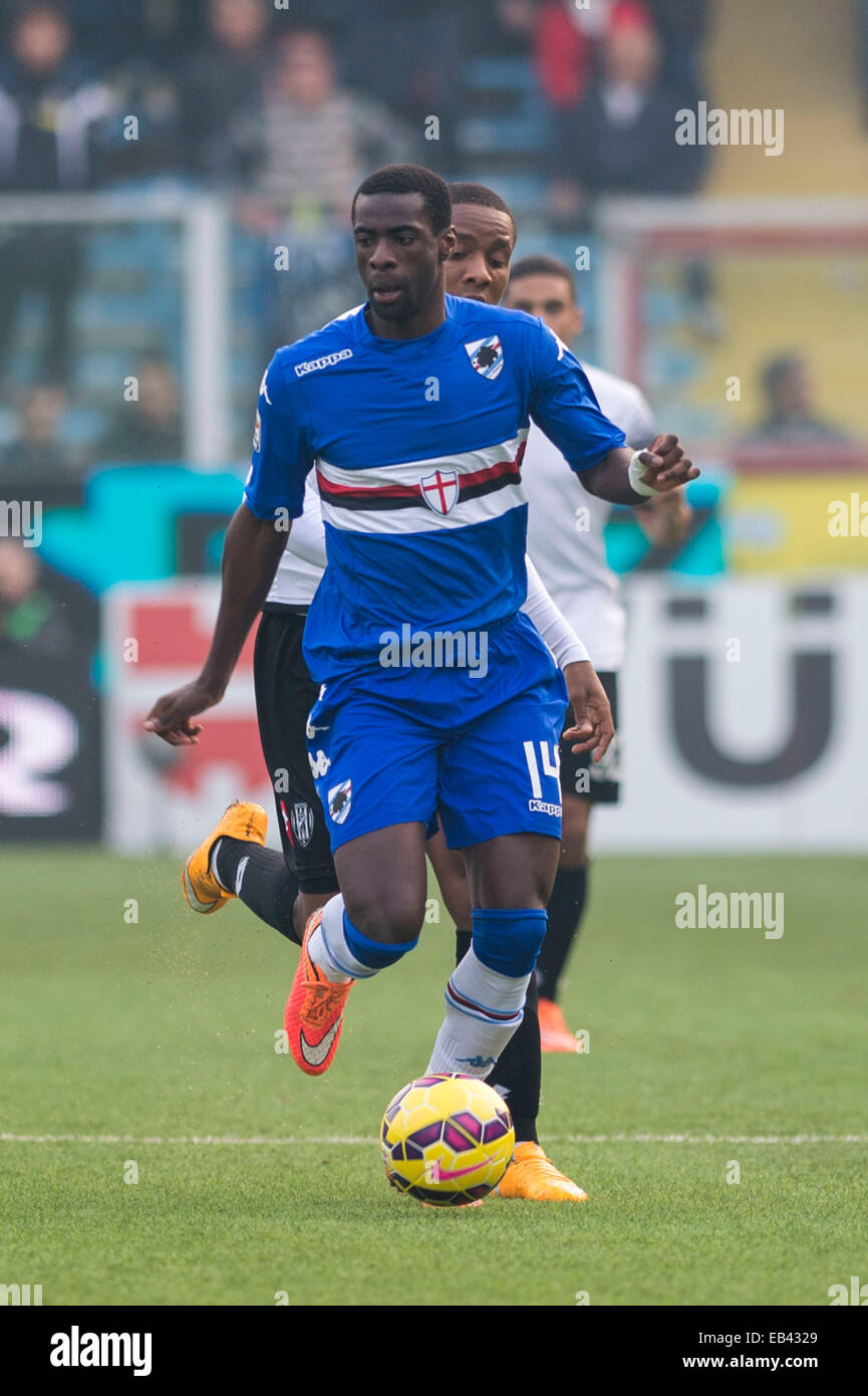 Pedro Obiang (Sampdoria), NOVEMBER 23, 2014 - Football / Soccer ...