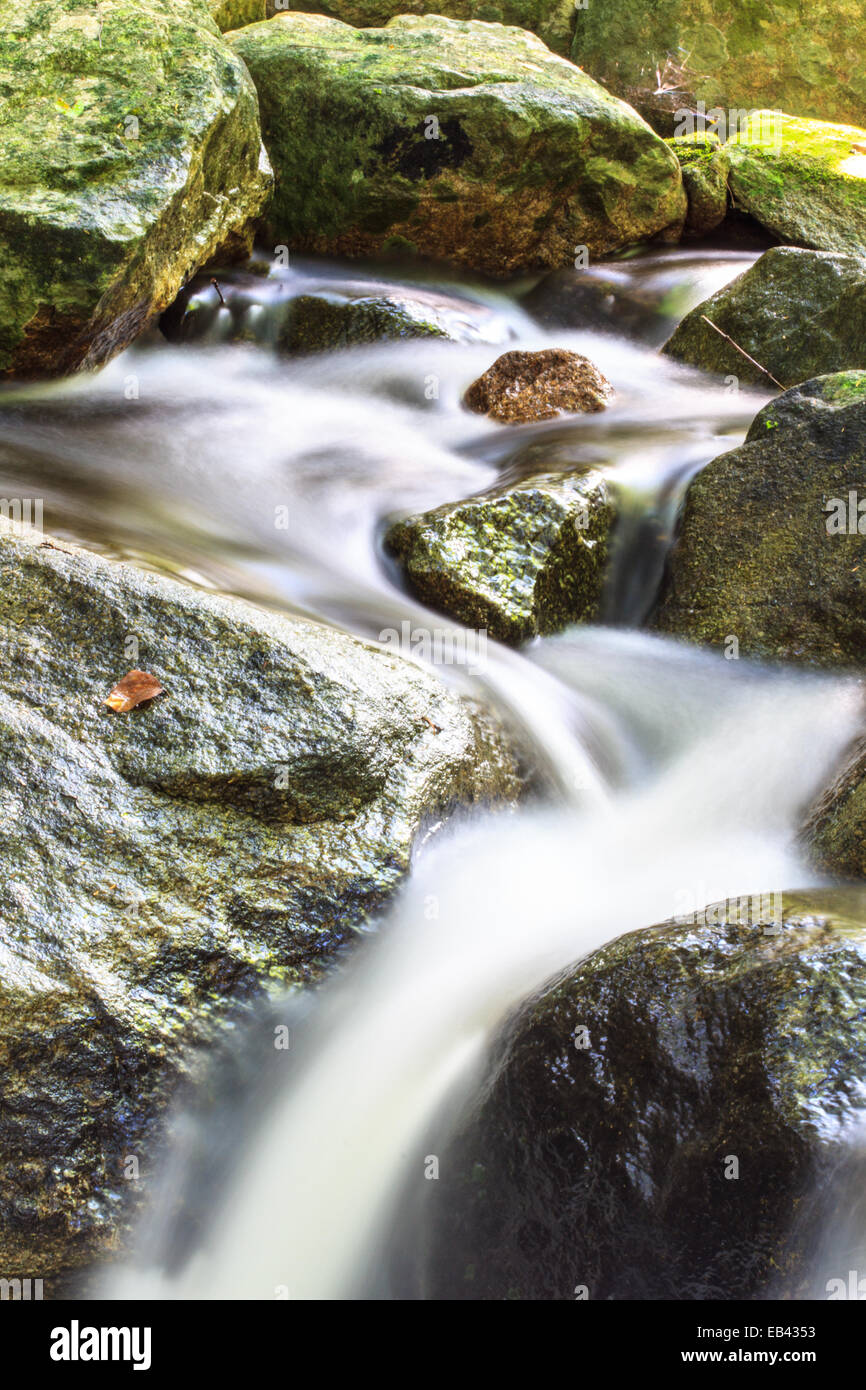 rainforest waterfall and rocks covered with moss Stock Photo - Alamy