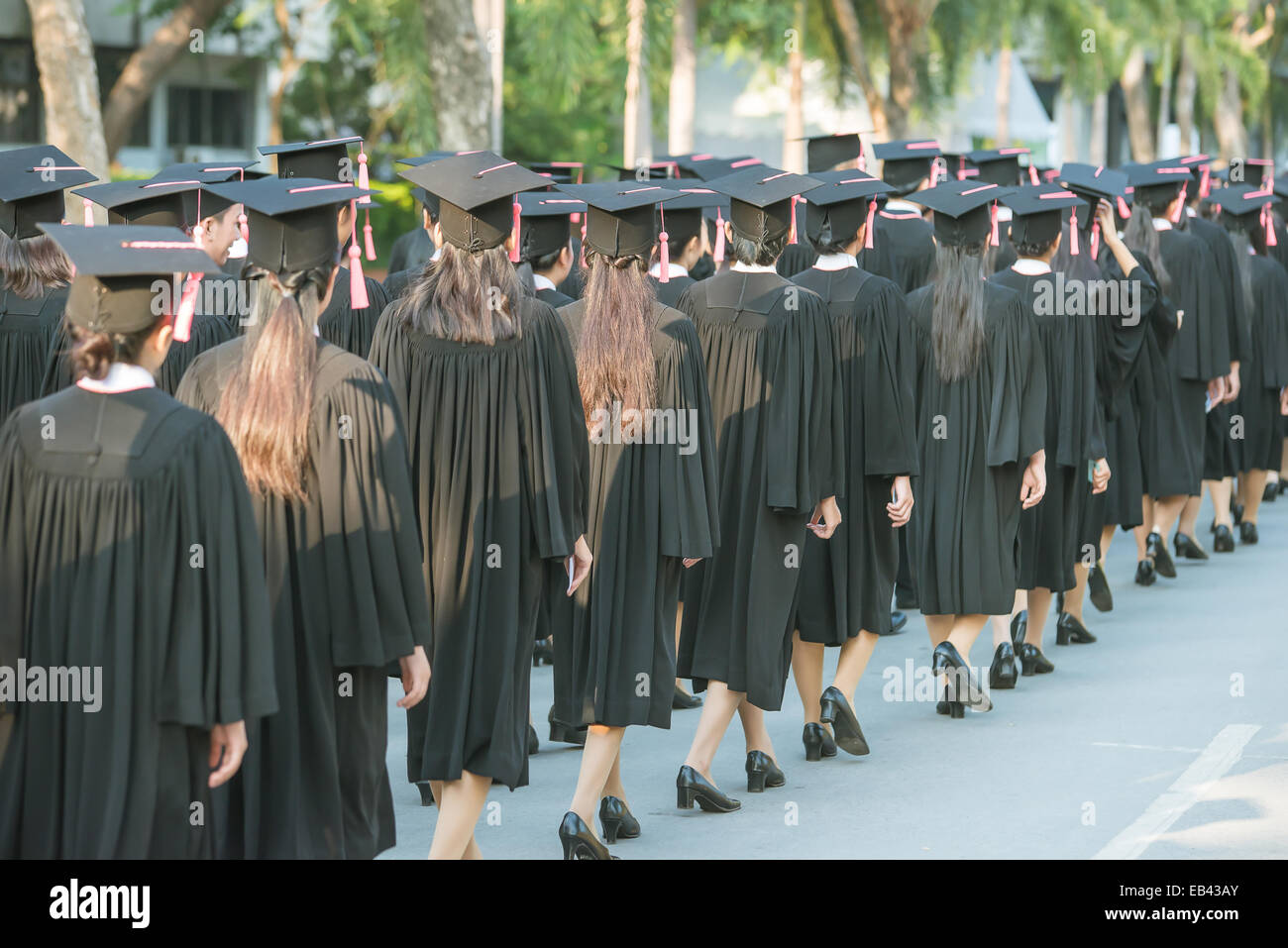 back of graduates during commencement Stock Photo - Alamy