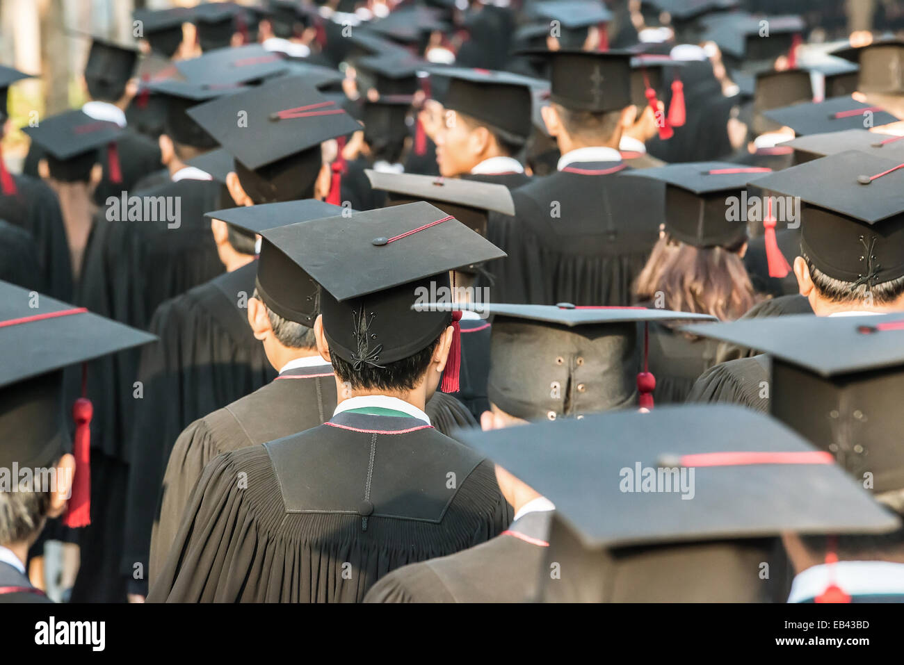 back of graduates during commencement Stock Photo - Alamy