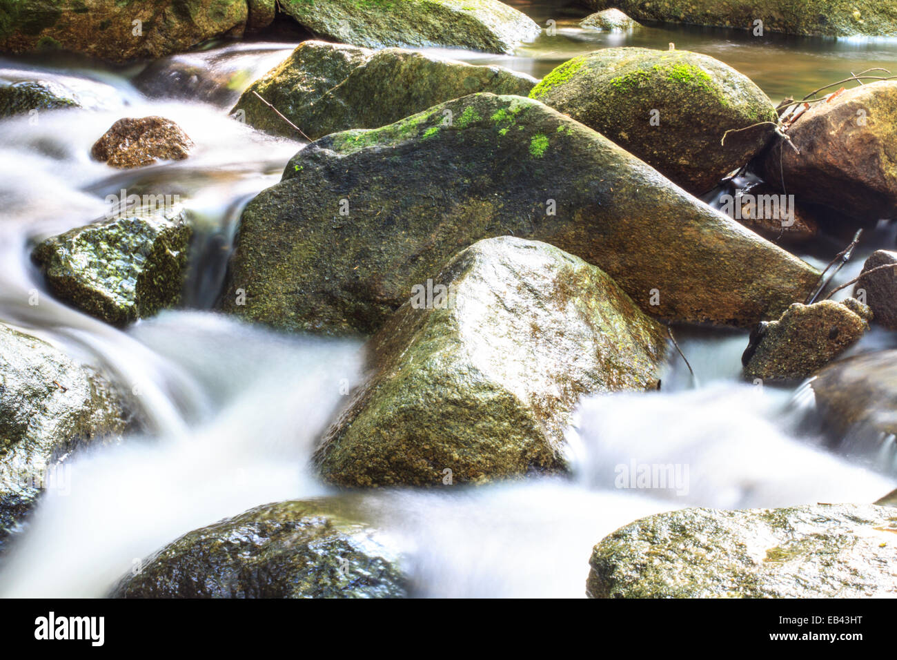 rainforest waterfall and rocks covered with moss Stock Photo - Alamy