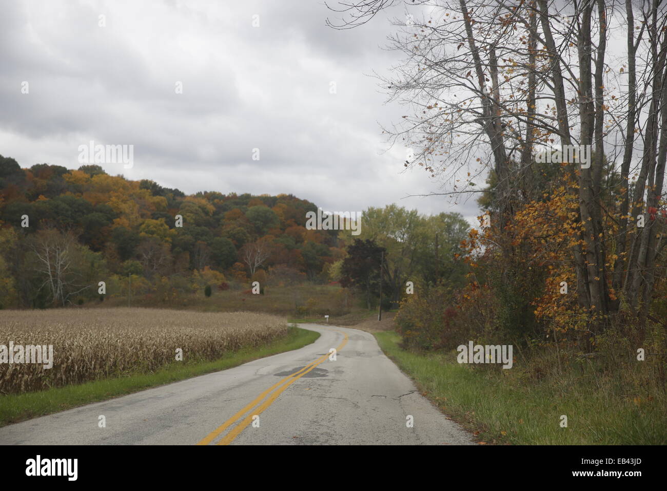 Rural Indiana road trip with autumn leaves and yellow line. scenic ...