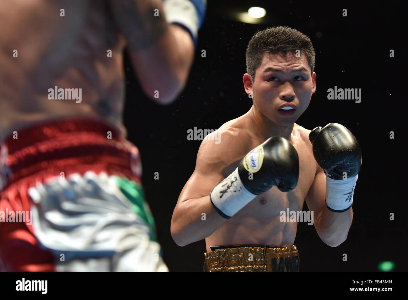 Kanagawa, Japan. 22nd Nov, 2014. Takashi Miura (JPN) Boxing : Takashi ...