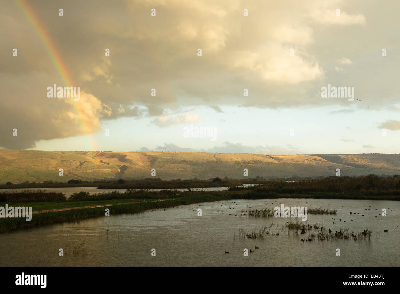 Rainbow and lake. Agamon Lake. Hula Valley. Israel Stock Photo - Alamy