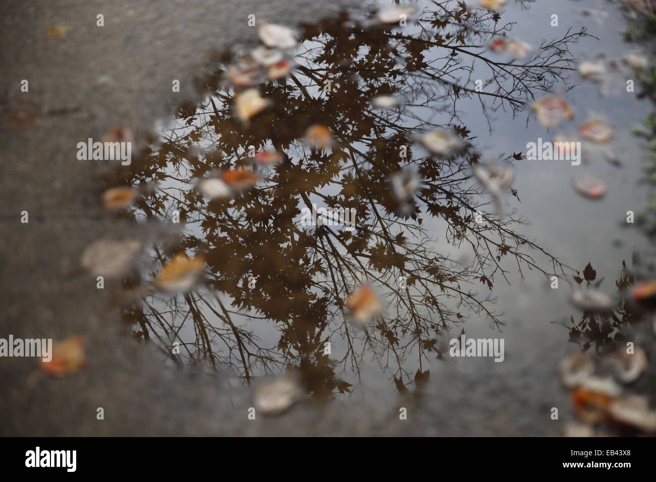 Reflection puddle sad hi-res stock photography and images - Alamy
