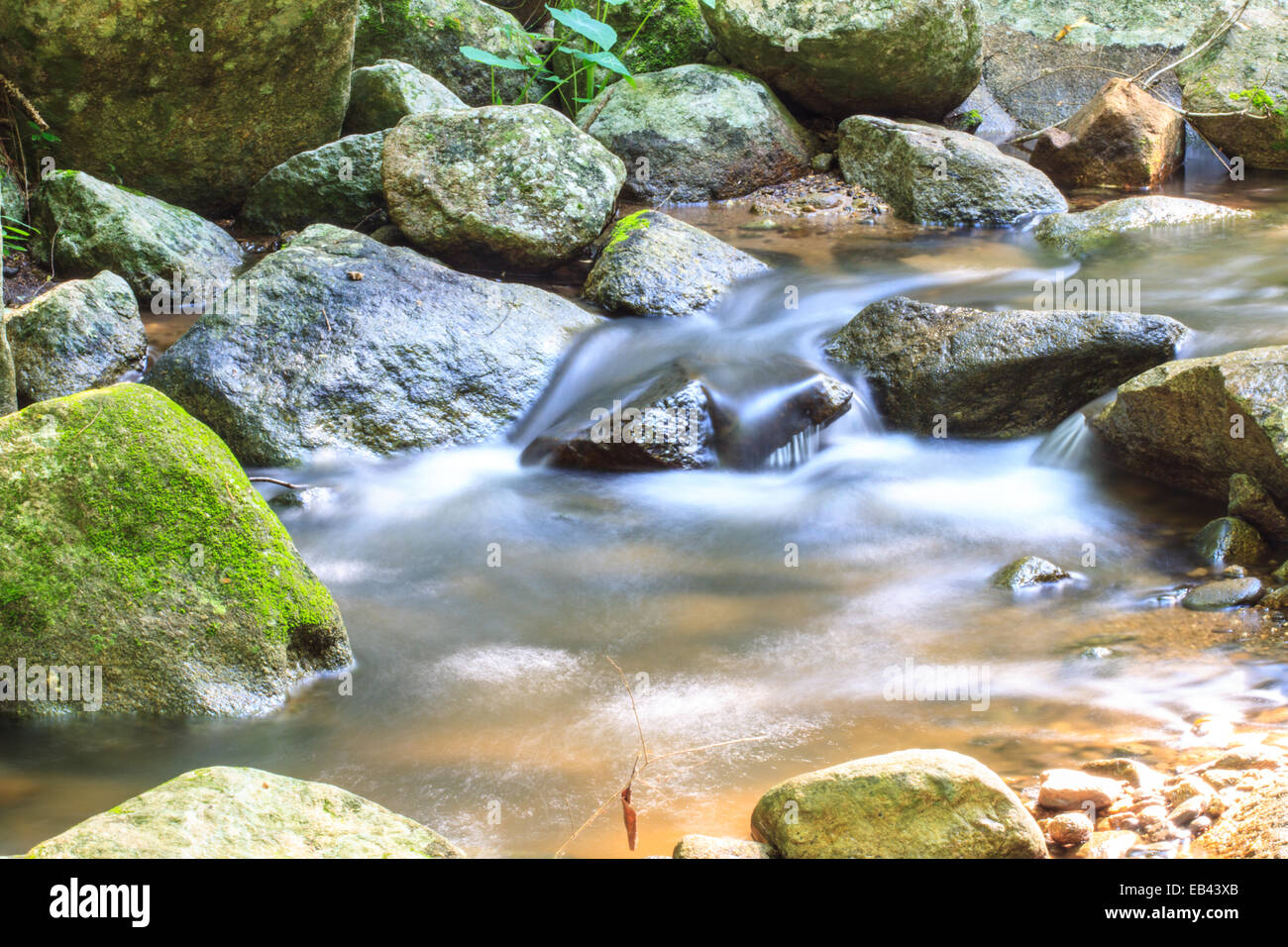 rainforest waterfall and rocks covered with moss Stock Photo - Alamy