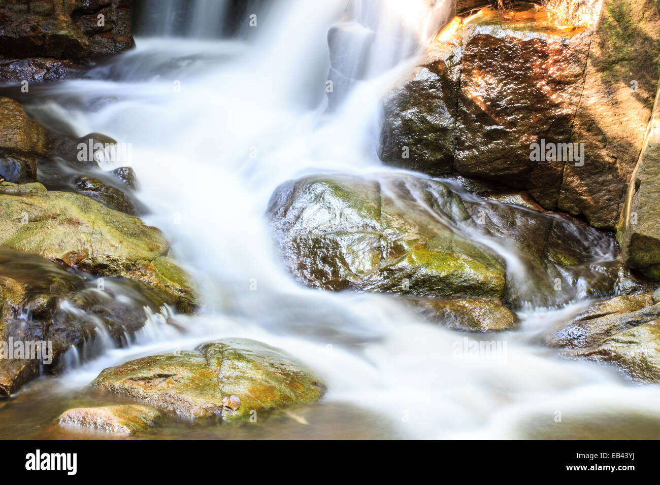 rainforest waterfall and rocks covered with moss Stock Photo - Alamy