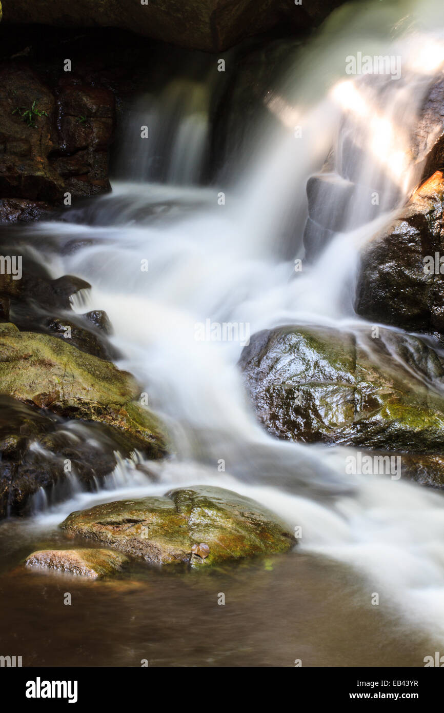 rainforest waterfall and rocks covered with moss Stock Photo - Alamy