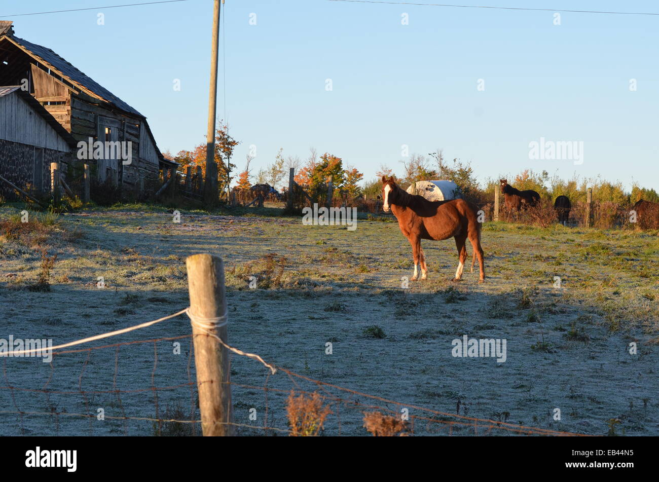 Barn behind fence hi-res stock photography and images - Alamy