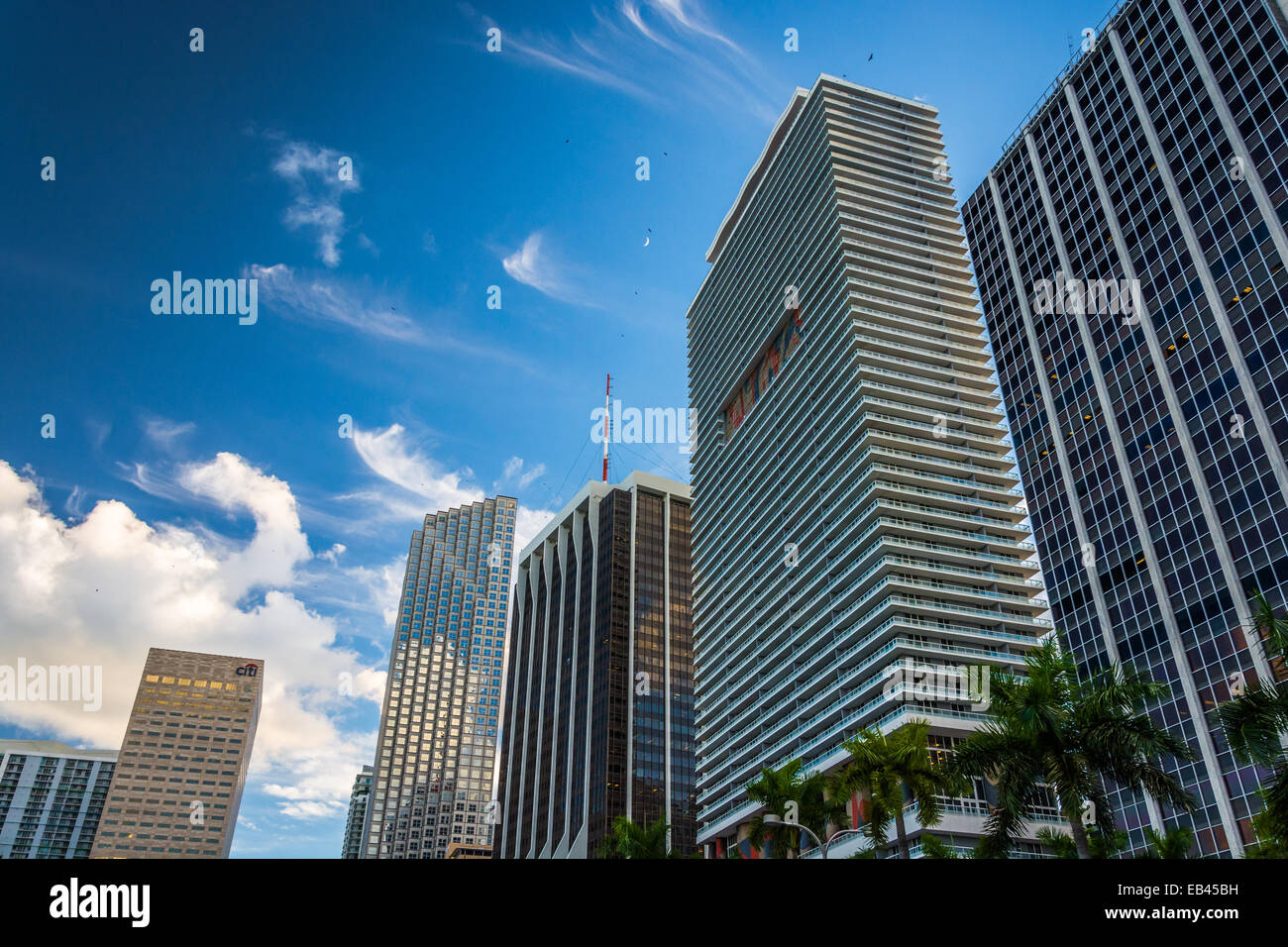 Skyscrapers in downtown Miami, Florida Stock Photo - Alamy