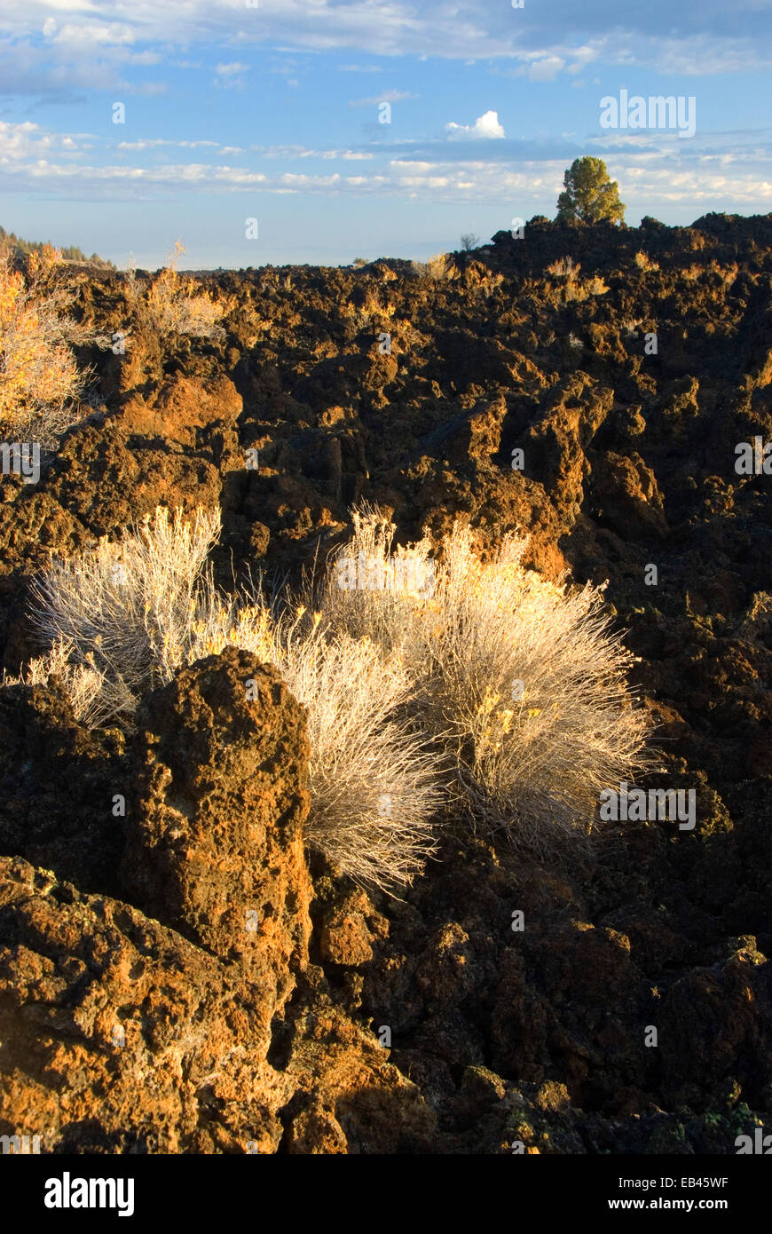 Devils Homestead Lava Flow, Lava Beds National Monument, California ...