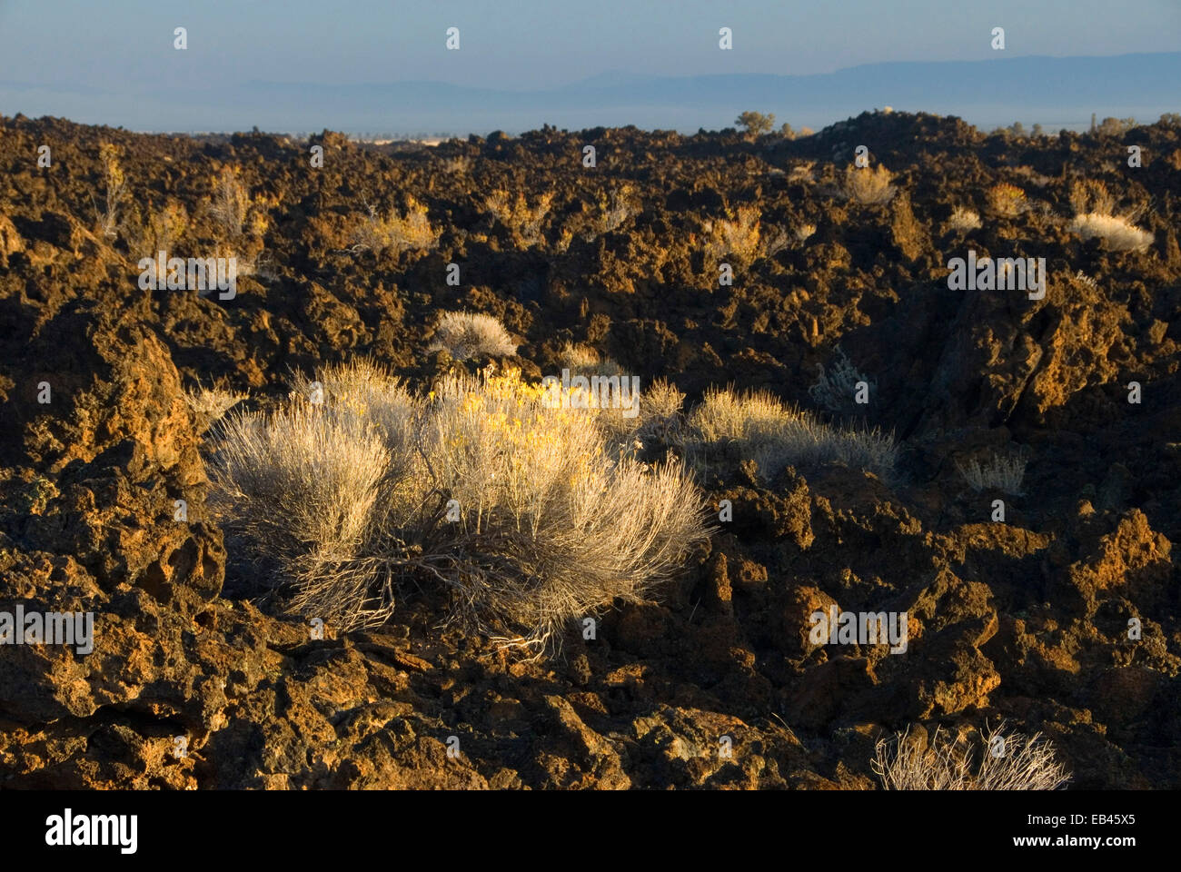 Devils Homestead Lava Flow, Lava Beds National Monument, California ...