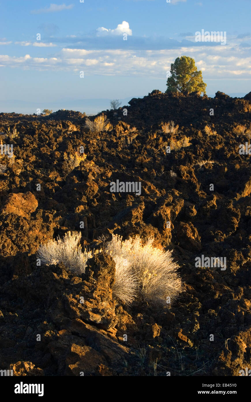 Devils Homestead Lava Flow, Lava Beds National Monument, California ...