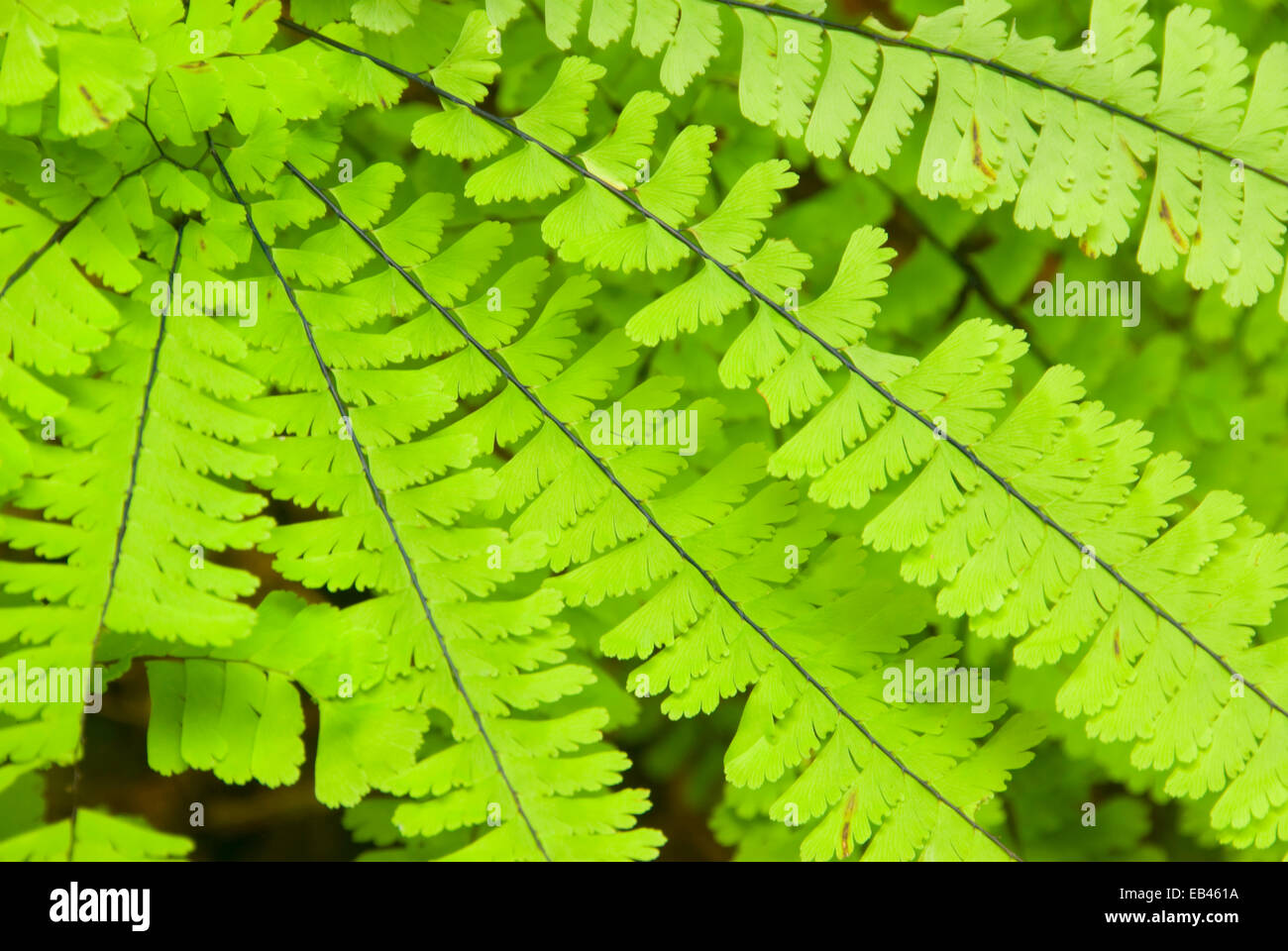 Finger loop hi-res stock photography and images - Alamy